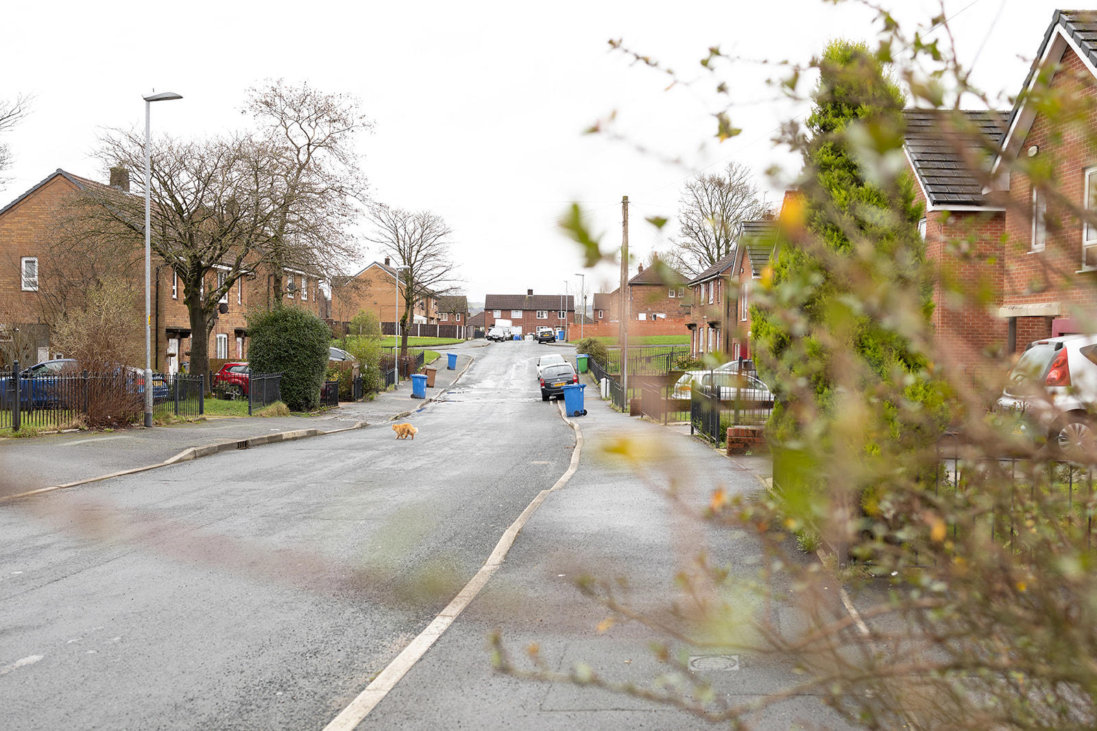 Updating your Universal Credit journal in April 2025 | RBH